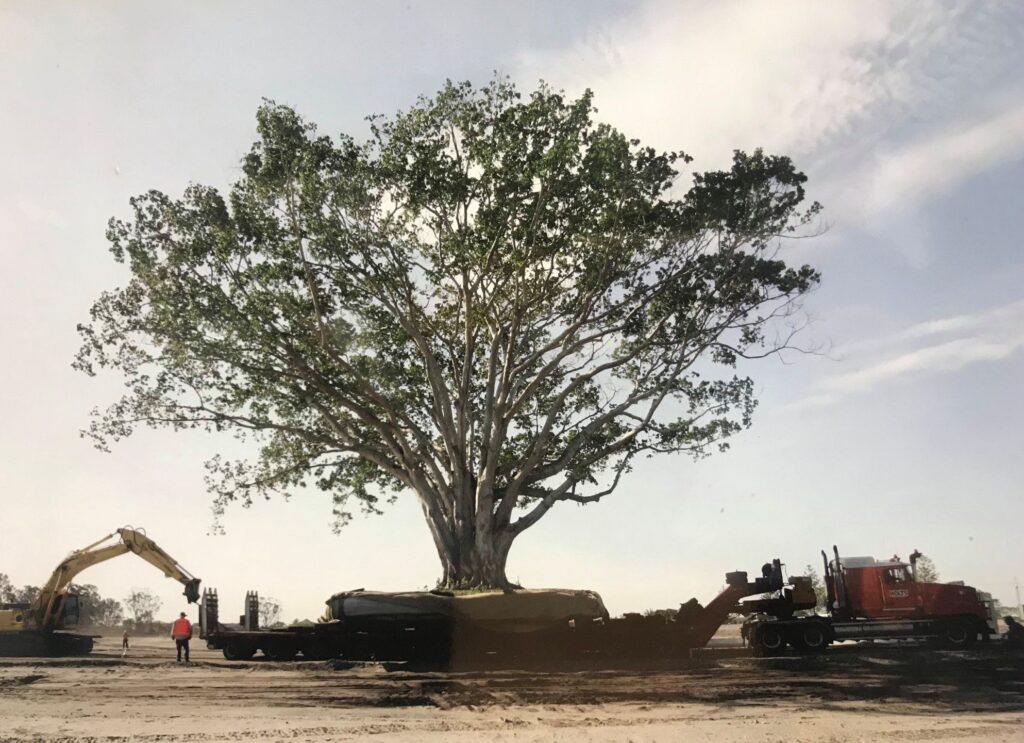 A Collection of the Best Vintage Drake Trailers - Drake Group